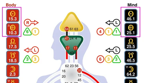 Human Design Incarnation Cross | The Left Angle Cross of Healing (25/46 ...