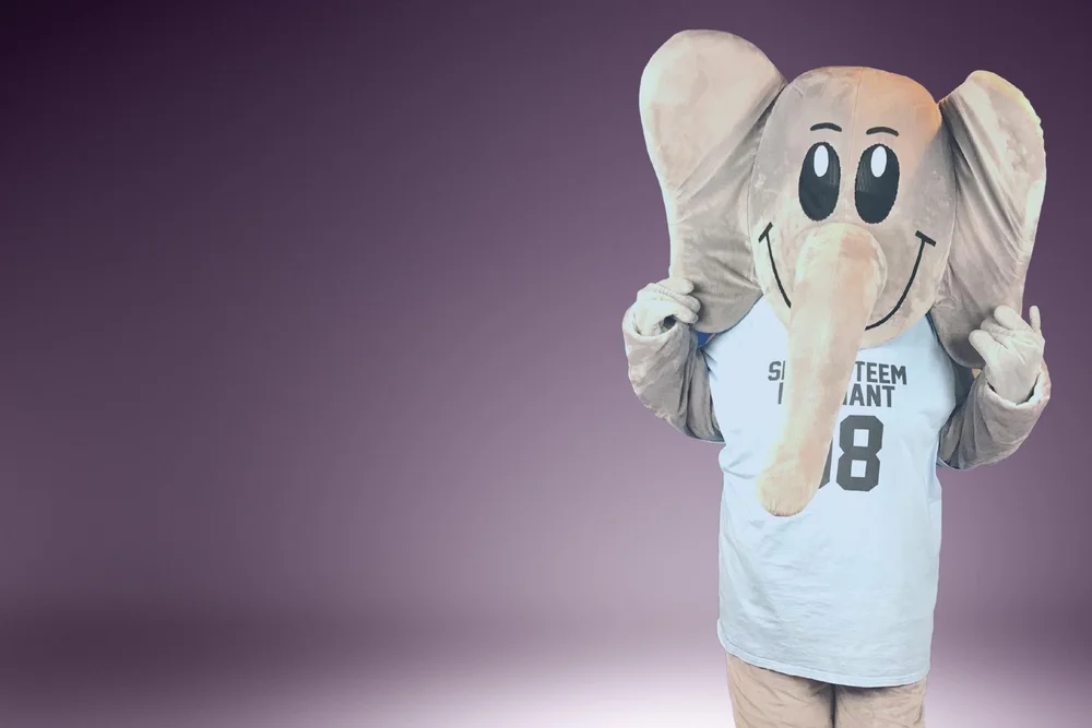 Our Team — Characters of Character NFP, Inc.