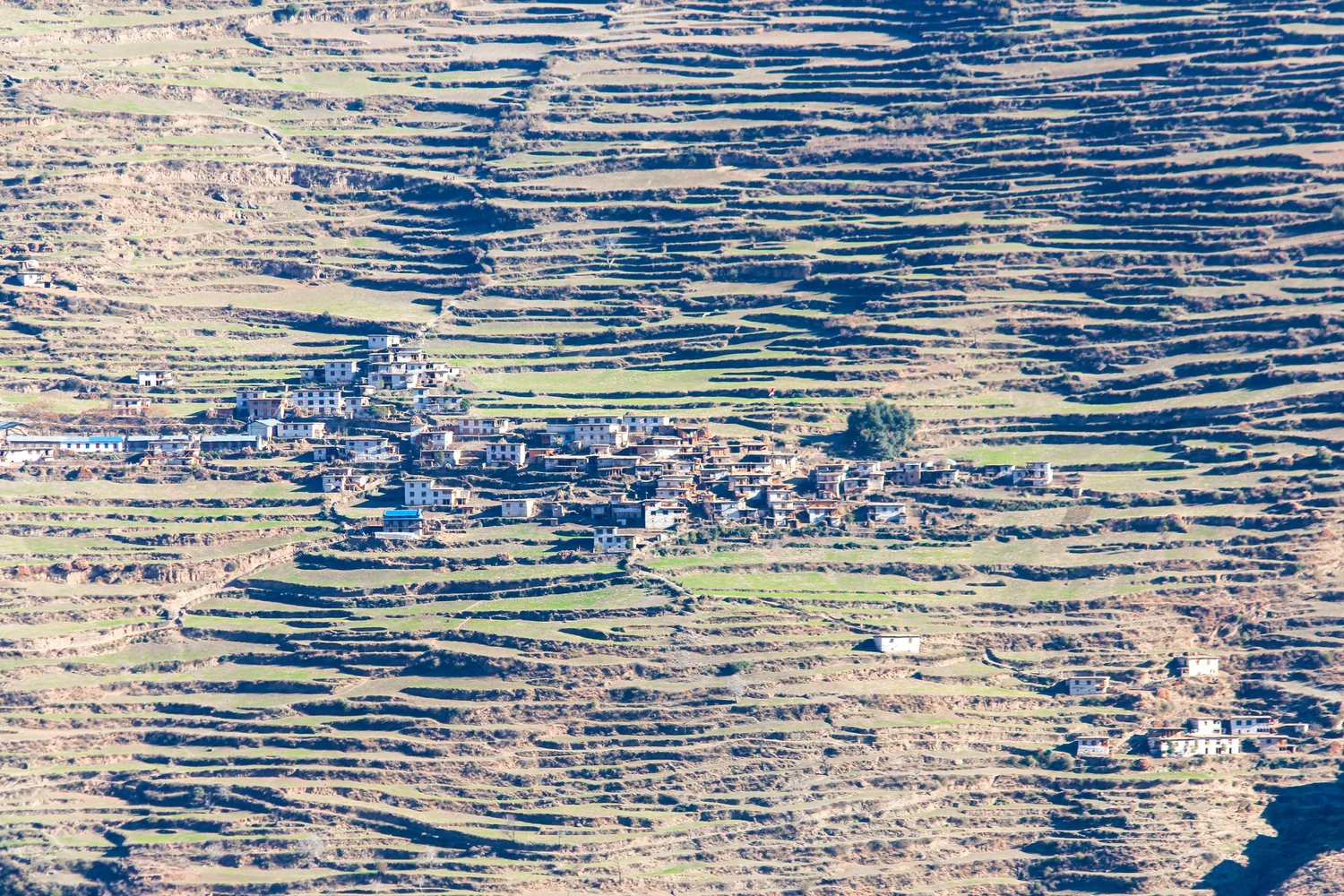 Catch The Fire — Browse Missions Trips | Join a Mission Trip Today