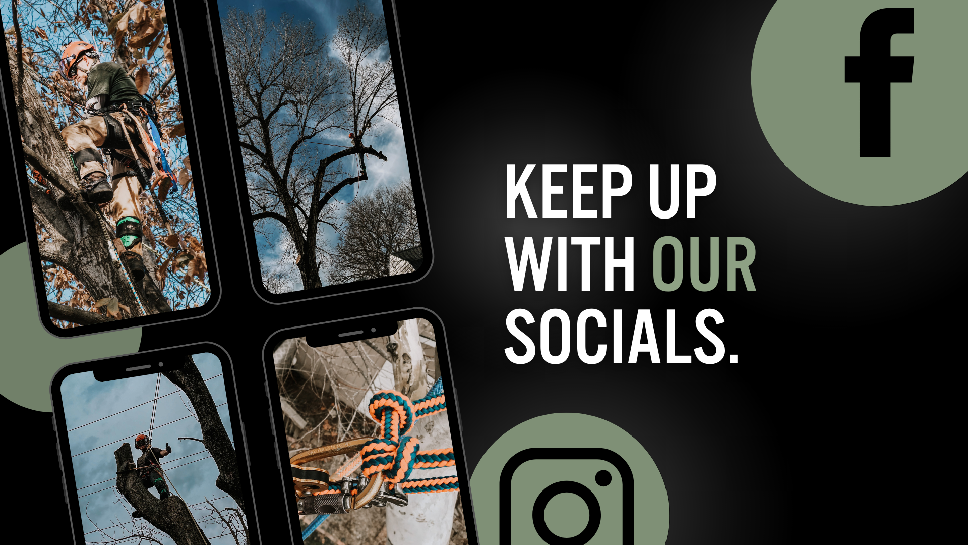 Reliable Tree Service