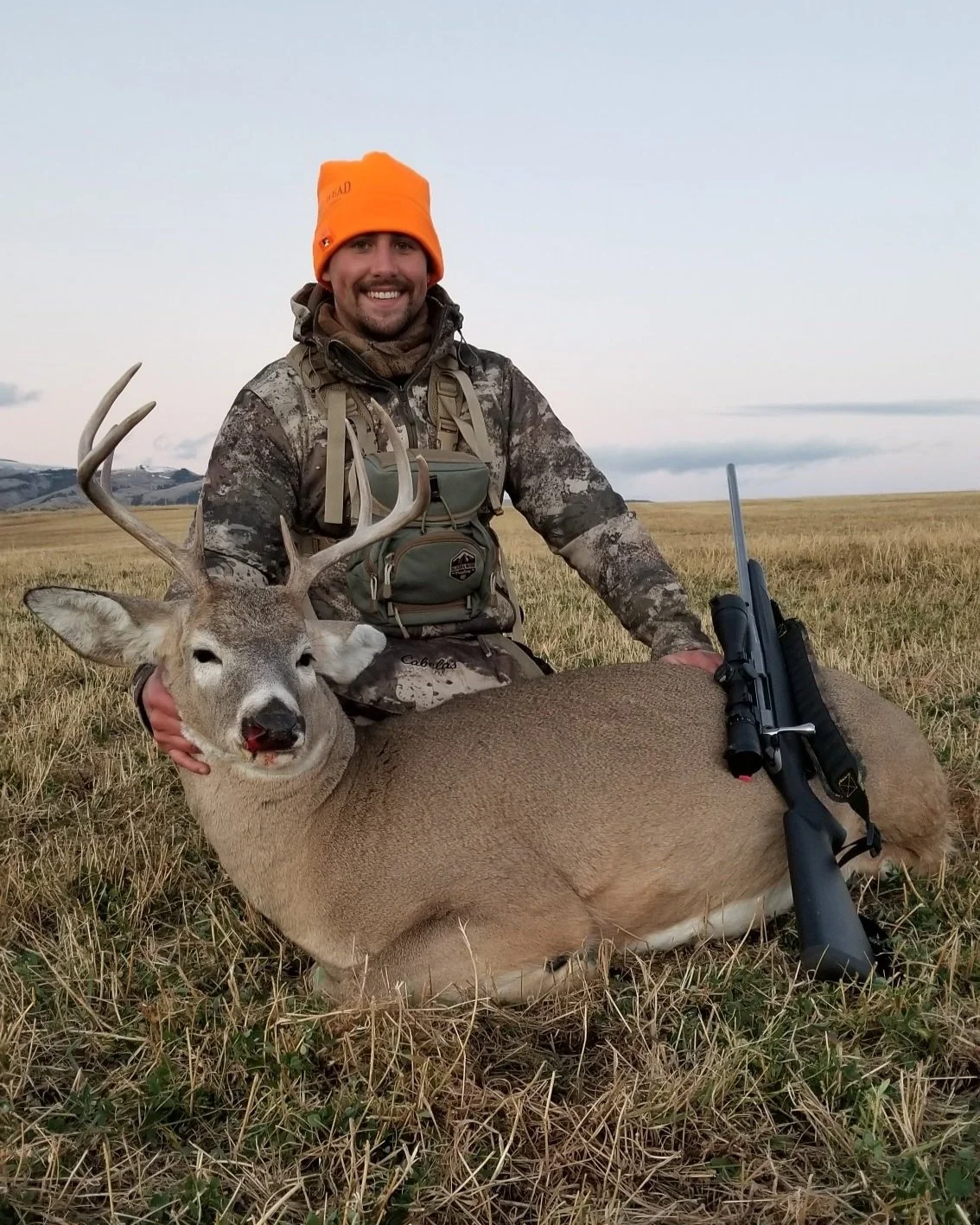 Deer — Joker's Wild Outdoors