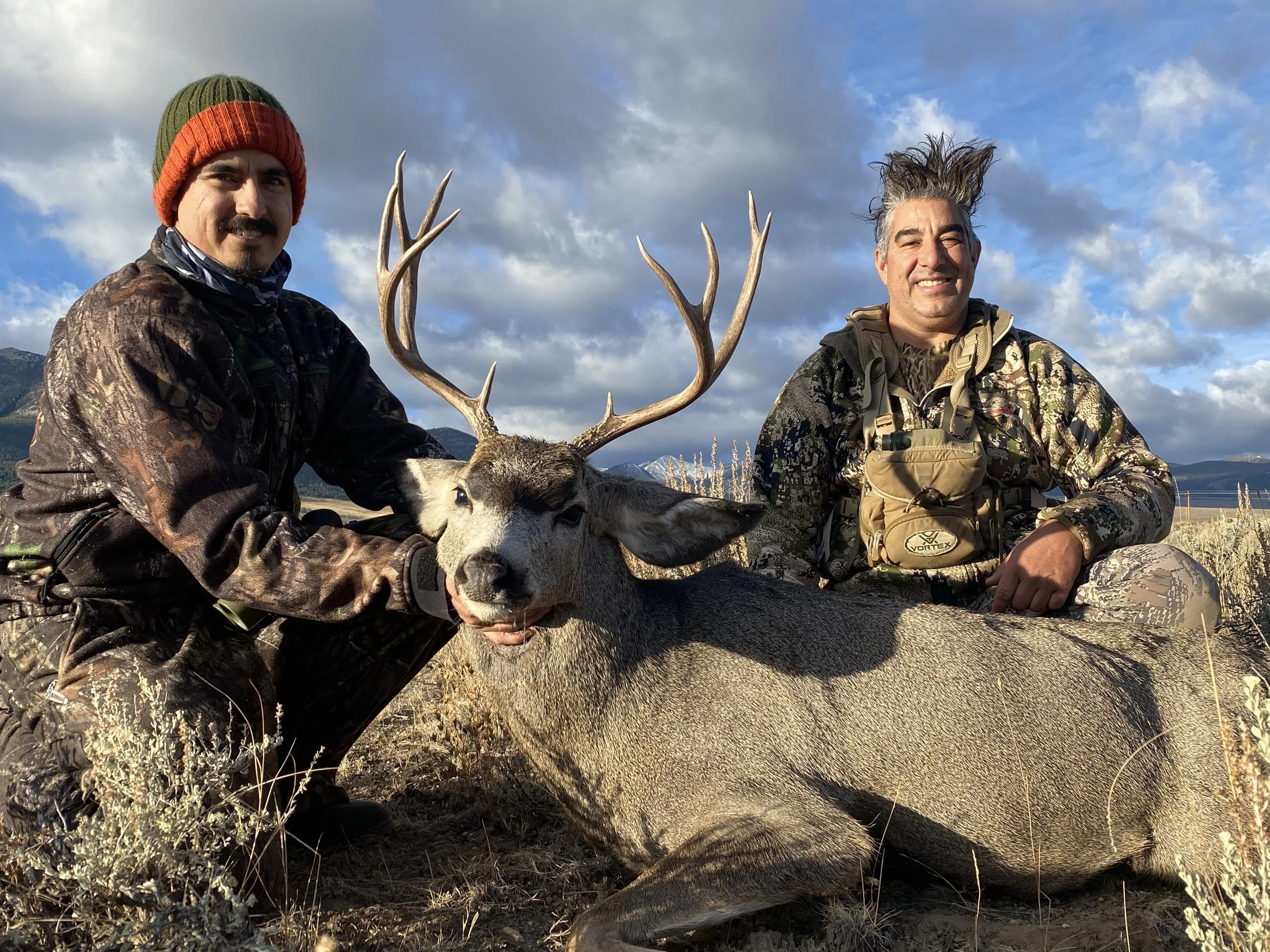 Deer — Joker's Wild Outdoors