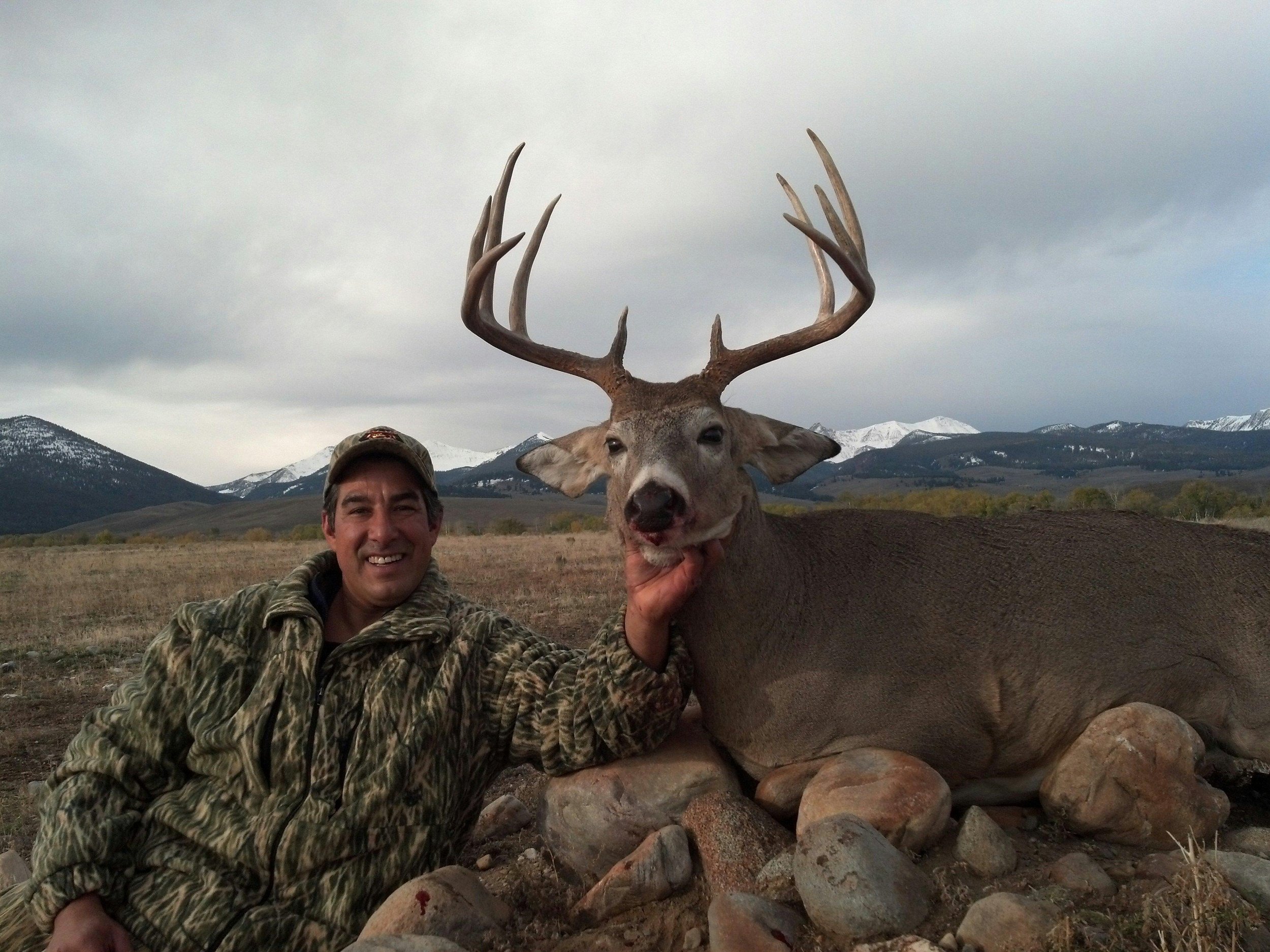 Deer | Book Your Hunt Now — Joker's Wild Outdoors