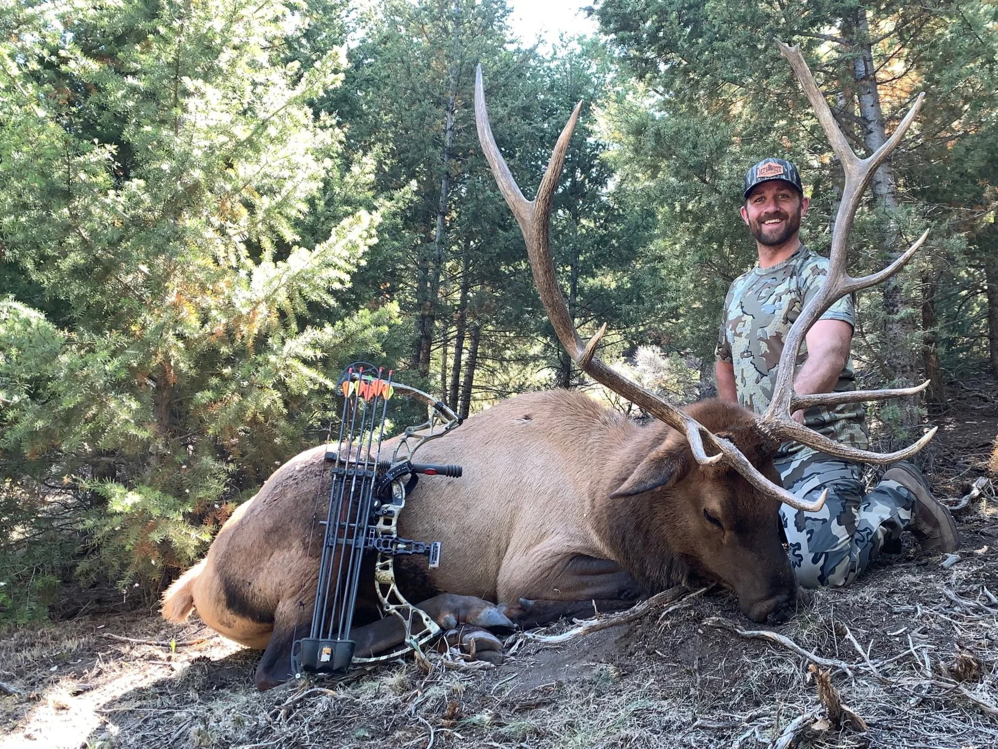 Elk — Joker's Wild Outdoors
