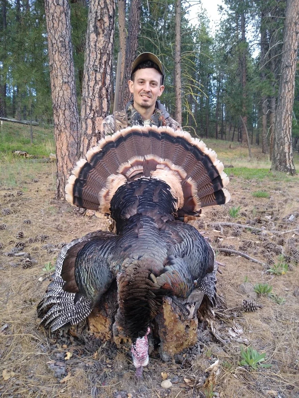 Turkey — Joker's Wild Outdoors