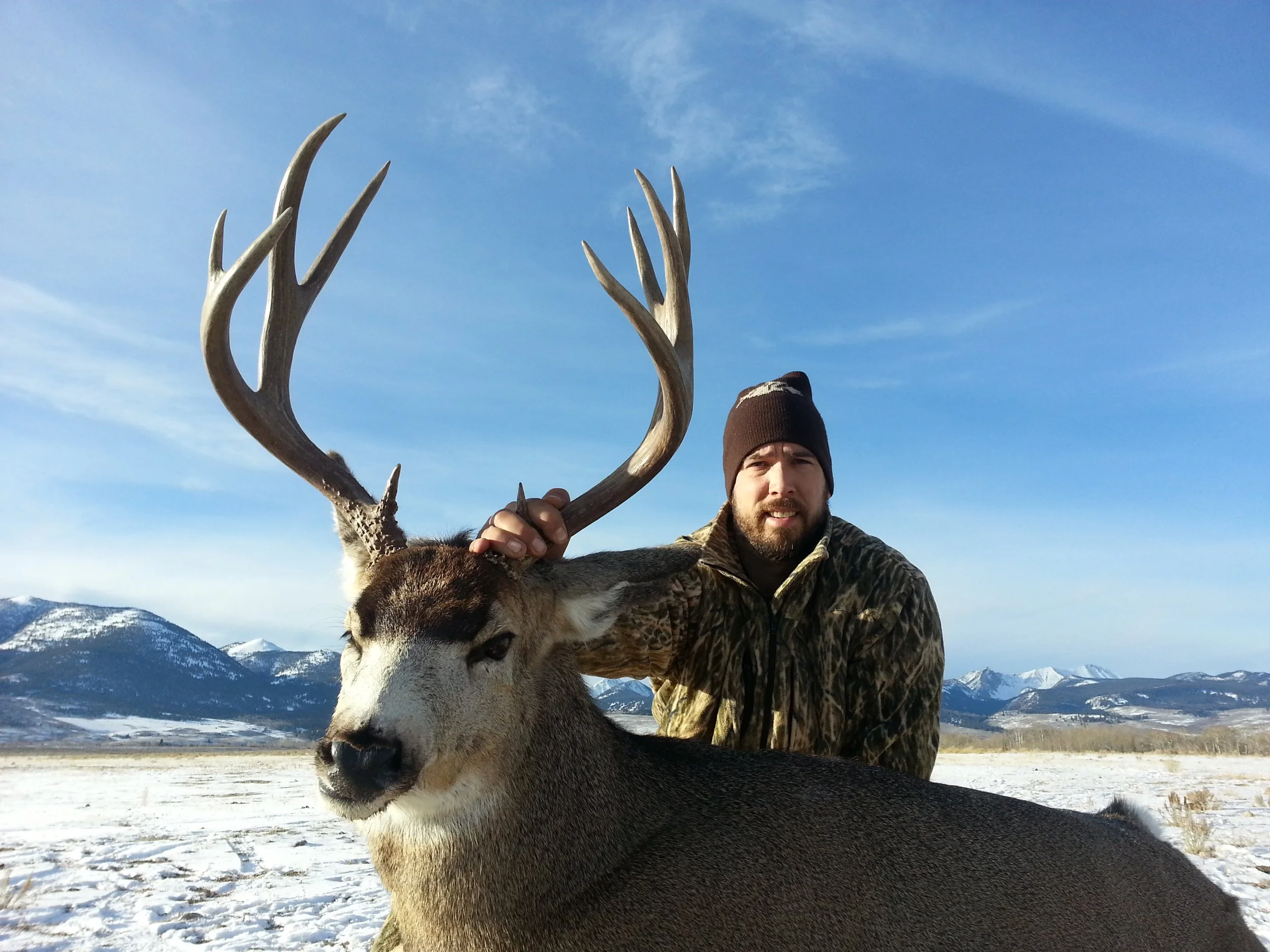 Deer | Book Your Hunt Now — Joker's Wild Outdoors