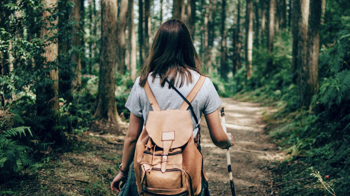 The Role of Ecotherapy in Modern Mental Health Care: Healing through ...