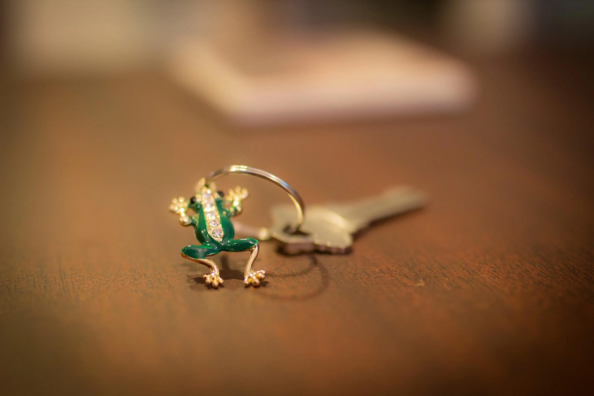 Gallery 1 — Sampler House