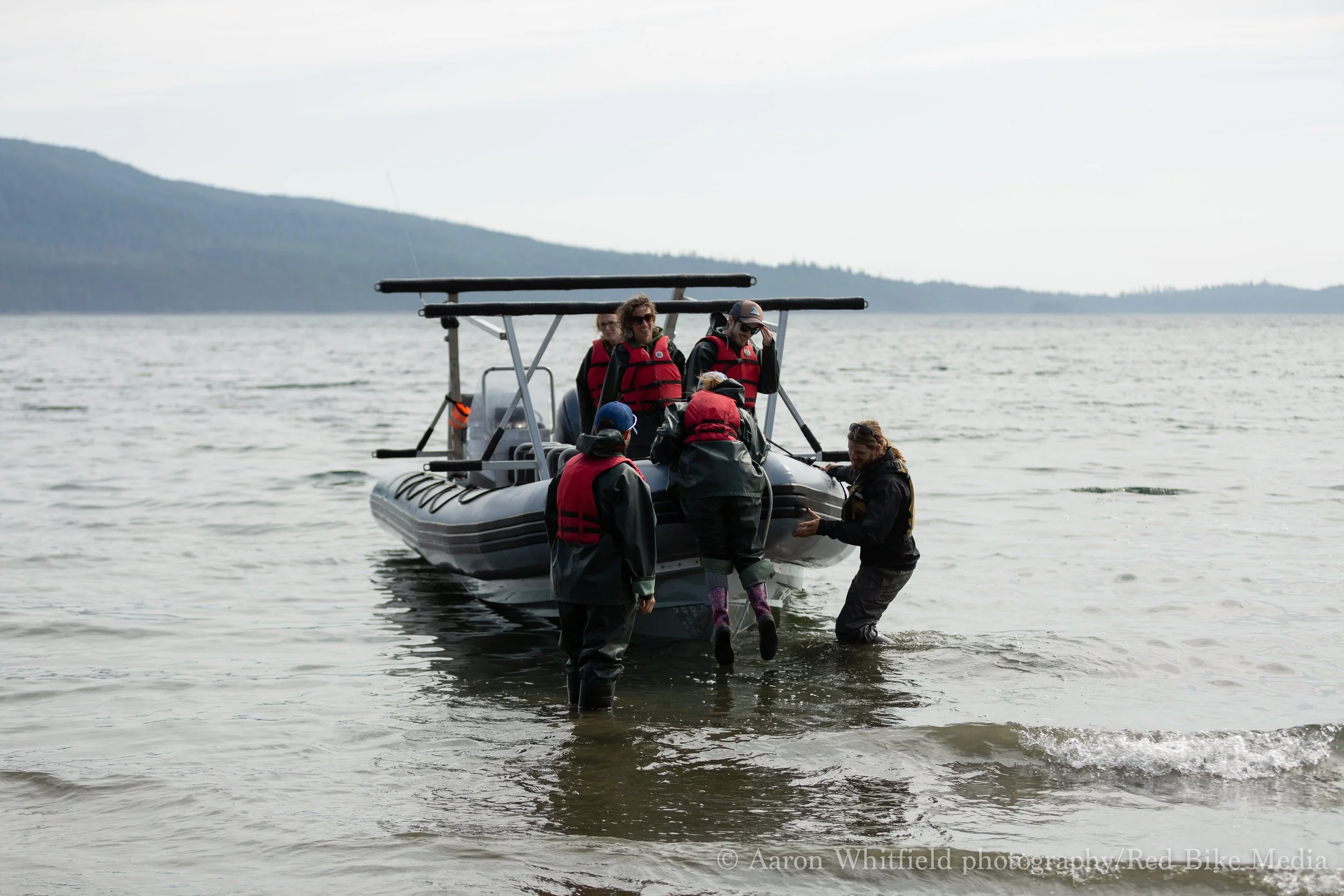 Nature Boat Tours in Gwaii Haanas — Moresby Explorers Haida Gwaii