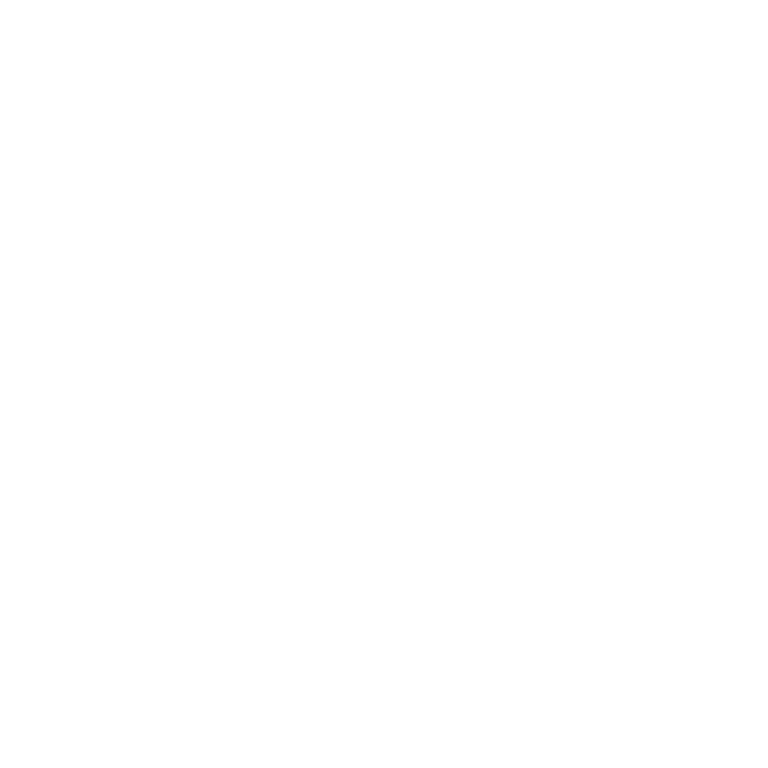 Zygote Press