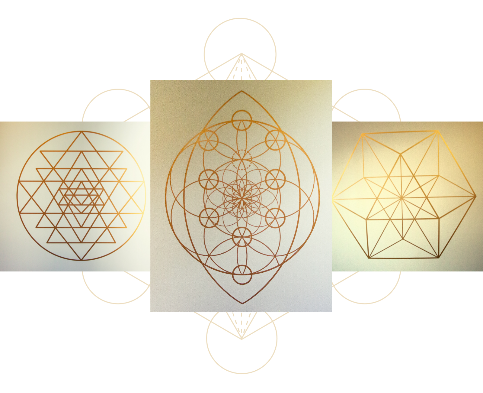 Synergy Holistic Wellness- Orange,NSW