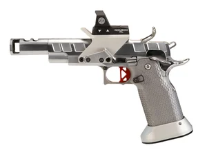 What is a Division Group group and what kinds of pistols are used in ...