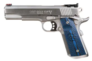 What is a Division Group group and what kinds of pistols are used in ...