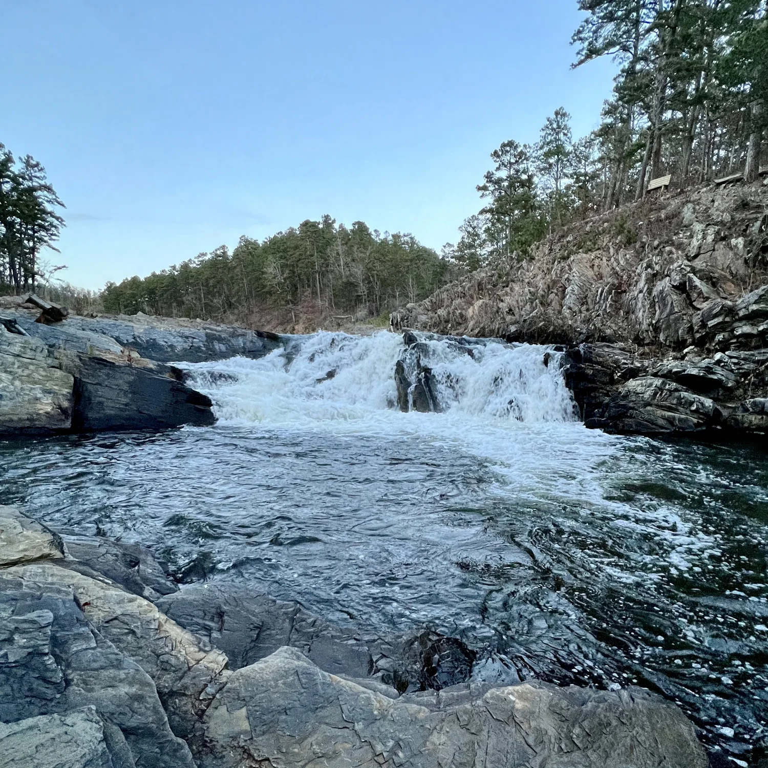 My Top 5 Hiking Trails in Beavers Bend State Park — Pines and Coastlines