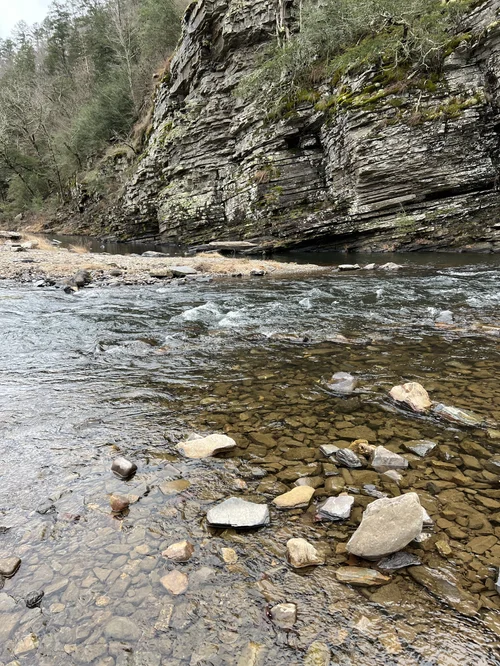 My Top 5 Hiking Trails in Beavers Bend State Park — Pines and Coastlines