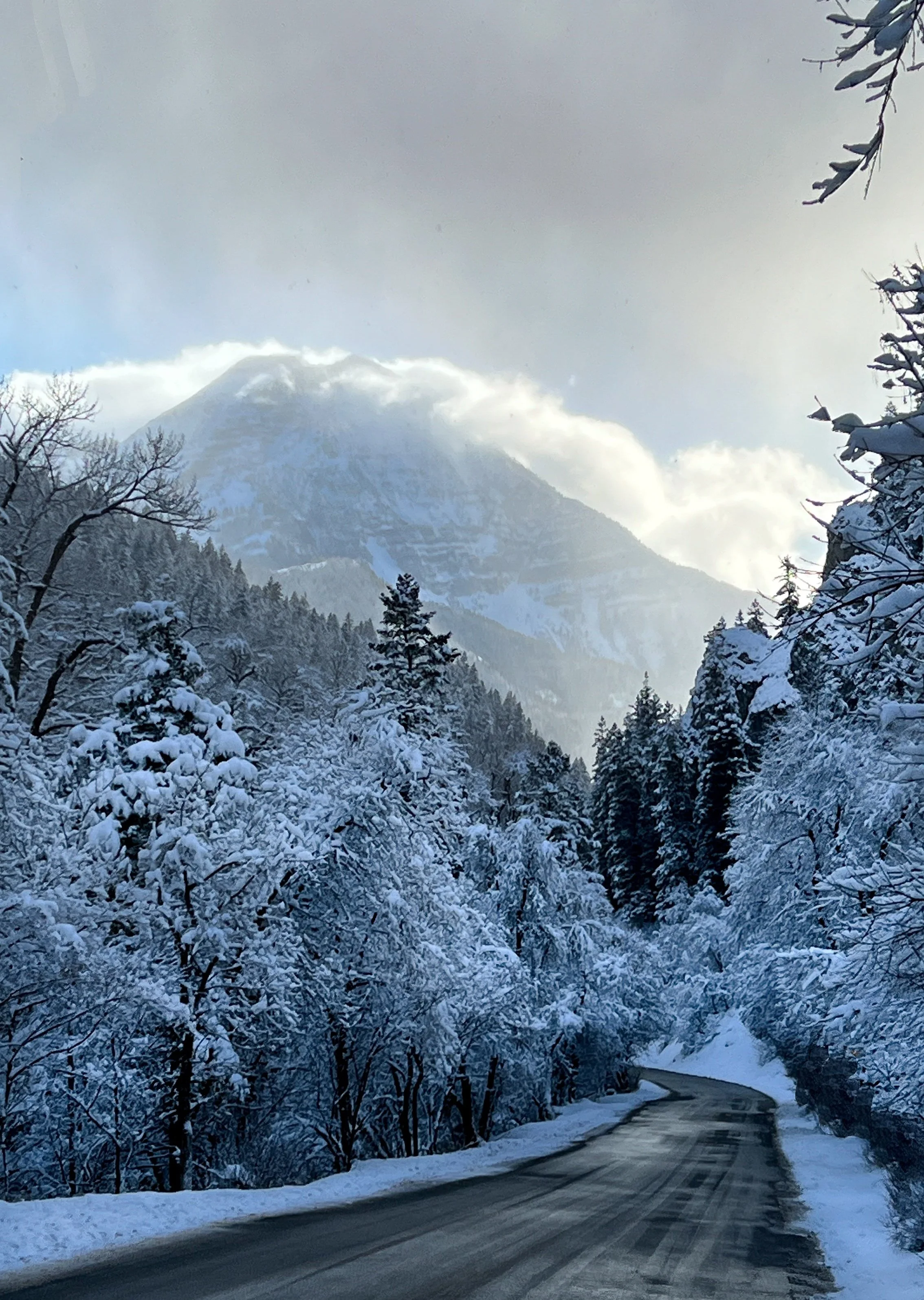 5 Best Canyons to Explore near Salt Lake City, Utah — Pines and Coastlines