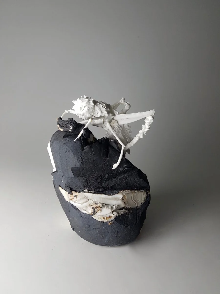Gallery — Mahala Hill | Ceramics