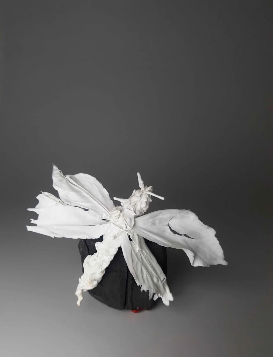 Gallery — Mahala Hill | Ceramics