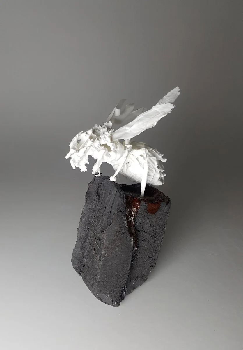 Gallery — Mahala Hill | Ceramics