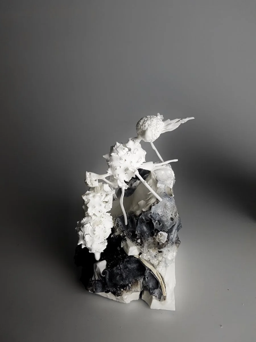 Gallery — Mahala Hill | Ceramics