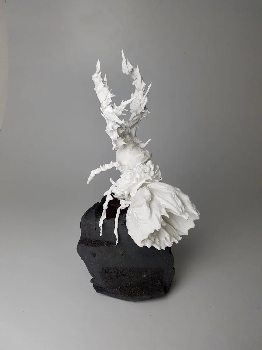 Gallery — Mahala Hill | Ceramics