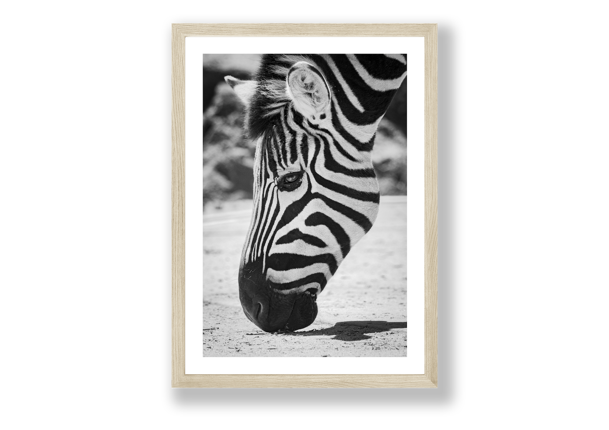 Fine Art Prints — Maria Durante