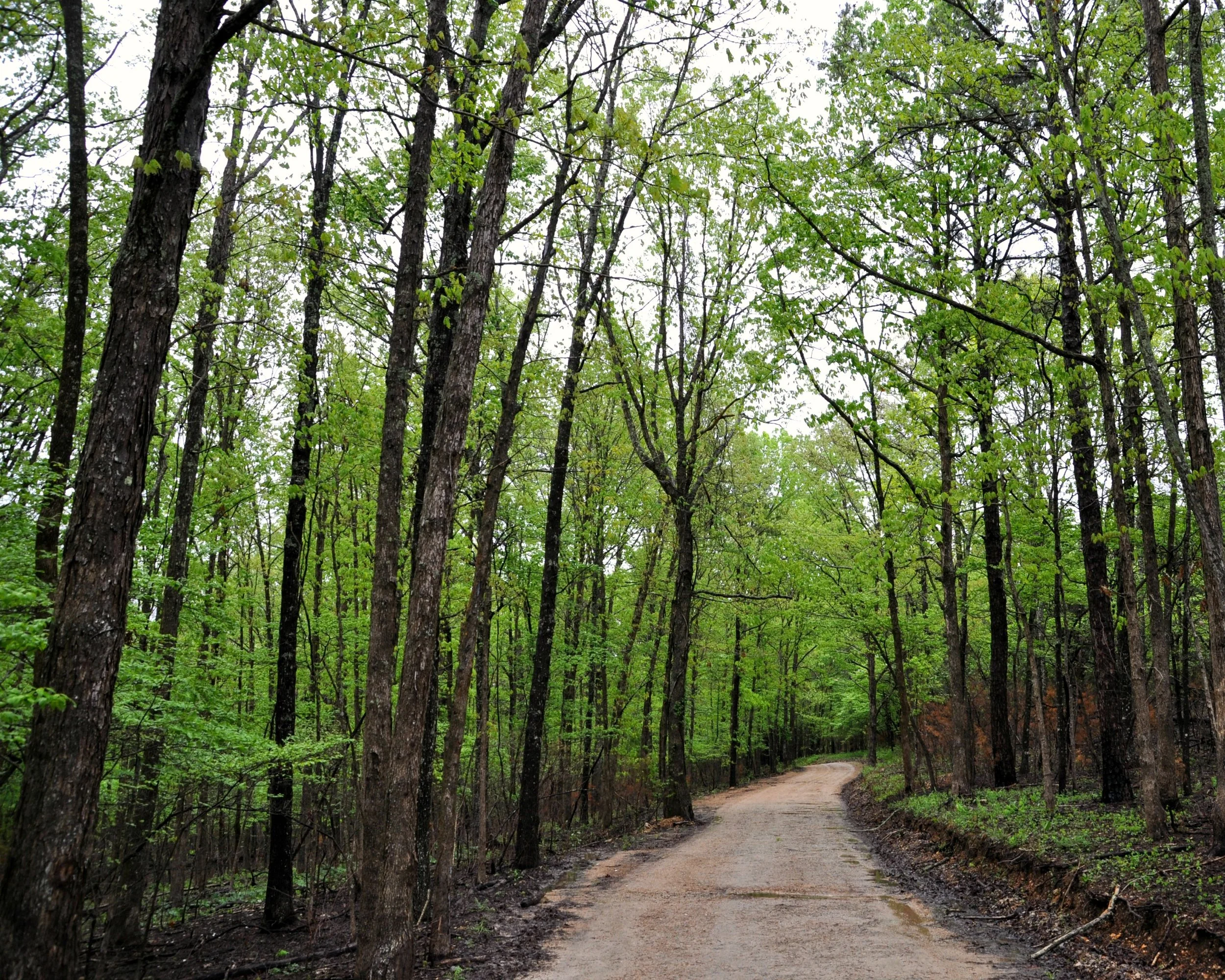 Butch Stone, arrowhead artist and Ozarks preservationist — Ozarks Alive