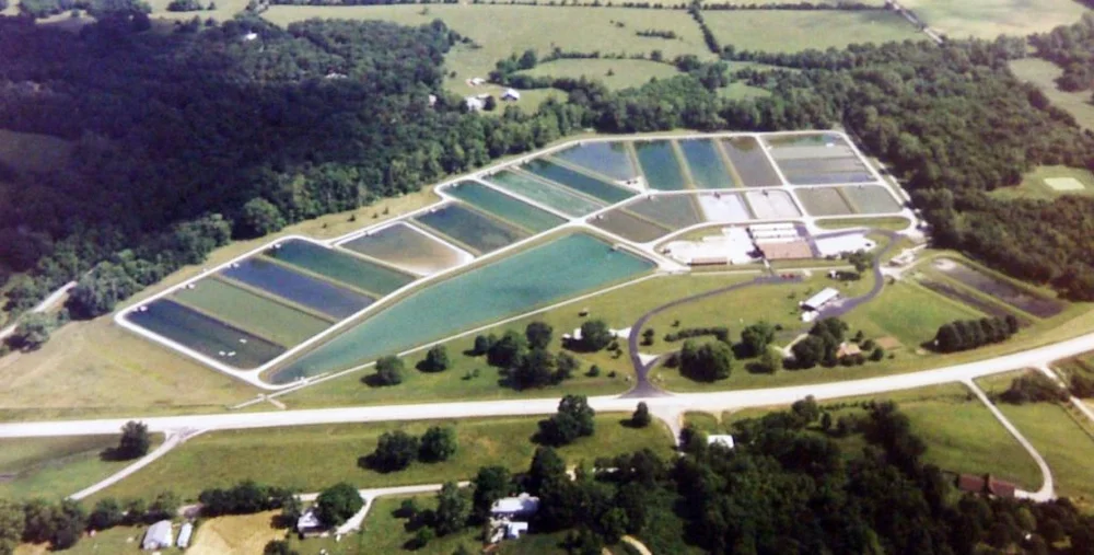 Chesapeake Fish Hatchery lives legacy as MO's oldest warm-water ...