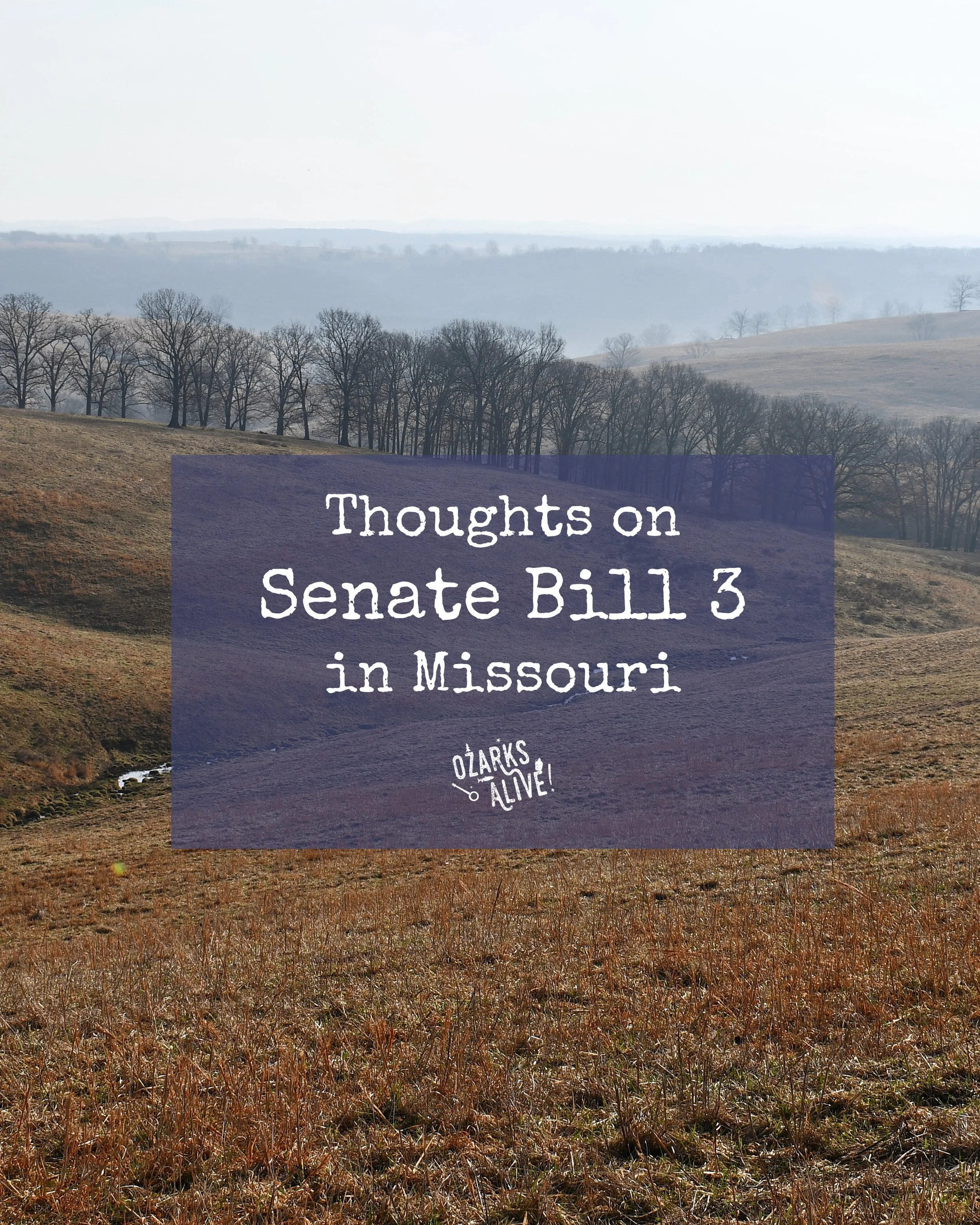 Thoughts on Senate Bill 3 and its potential impact on Missouri schools ...