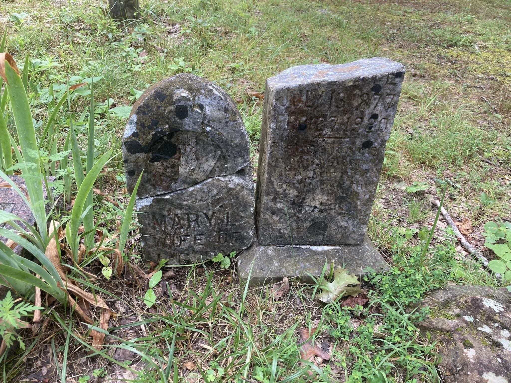 A visit to Carter Cemetery in Christian County meshes past with present ...