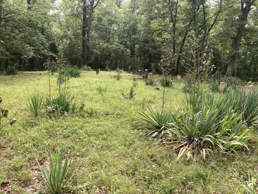 A visit to Carter Cemetery in Christian County meshes past with present ...