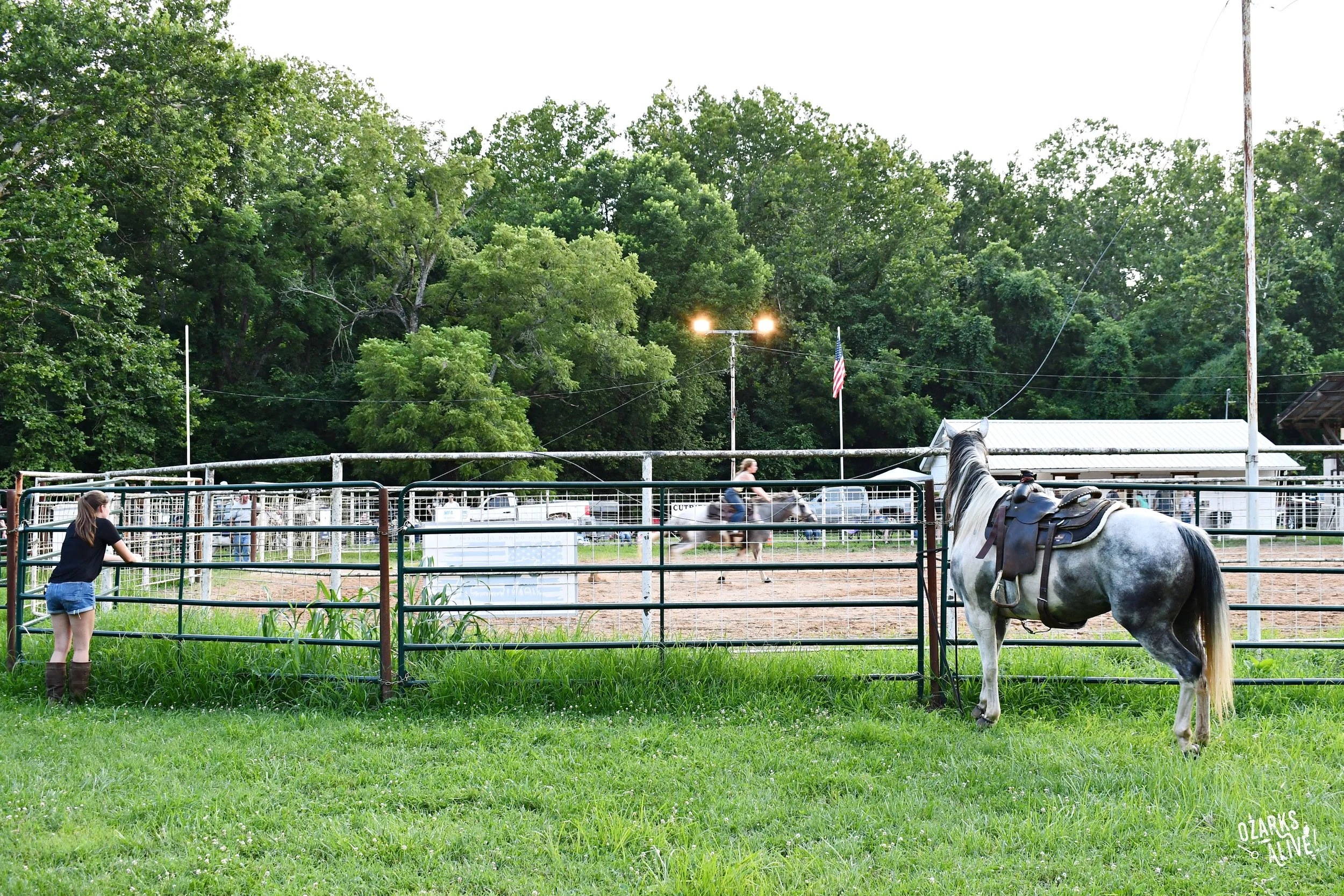 Spring Creek Saddle Club remains a tradition in tiny Hurley, Missouri ...