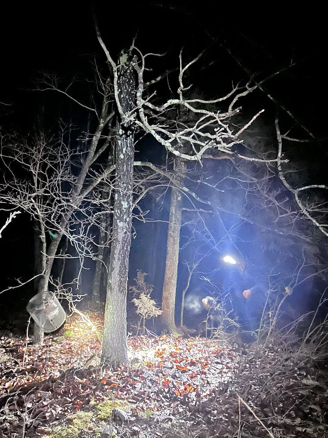 Larry Leon Boyd, longtime coon hunter from Bradleyville — Ozarks Alive