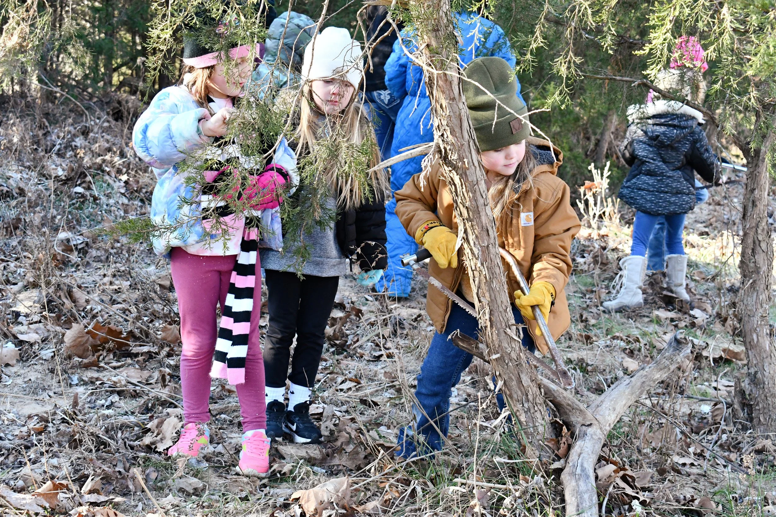 Marie Day leads Chadwick kids on an old-fashioned Christmas tree hunt ...