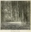 Blizzards, Fog, and Hurricanes: The Role of Weather in Gothic ...