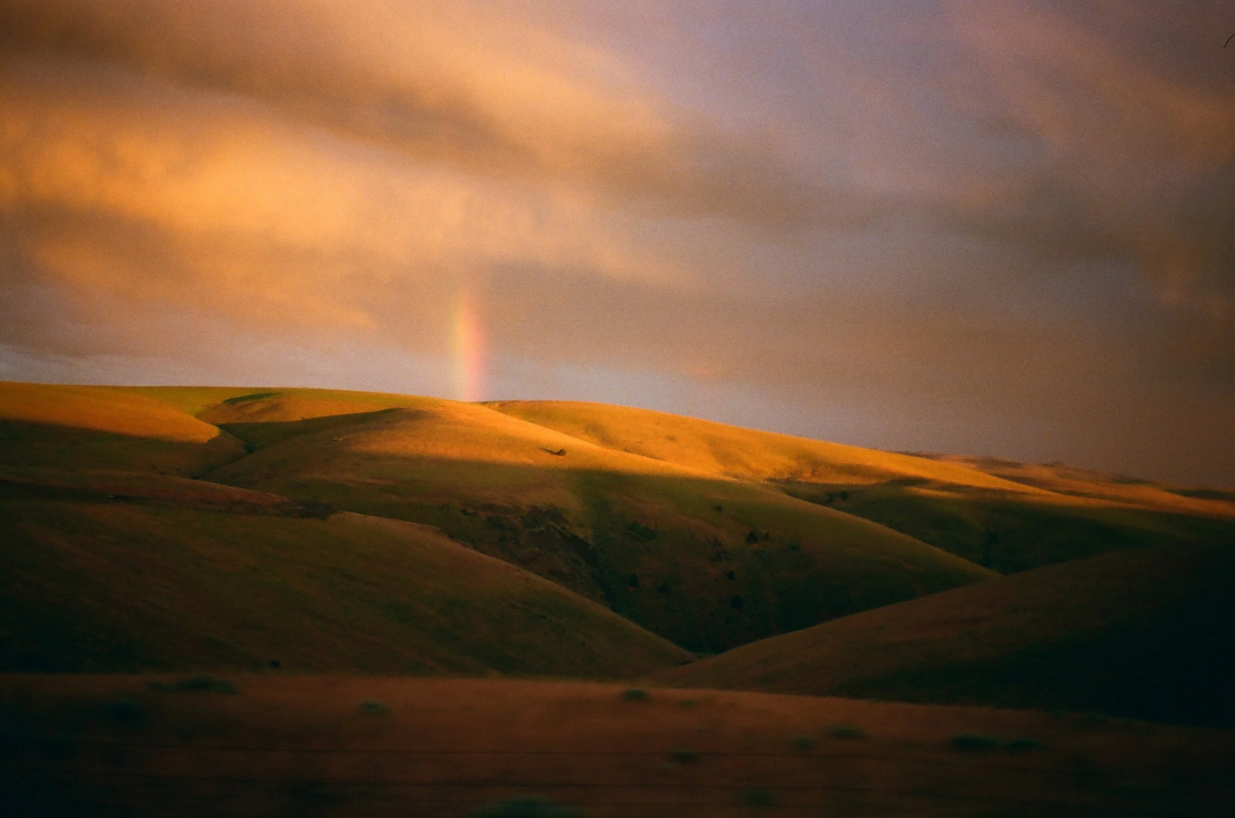 The Ava Mundy Project