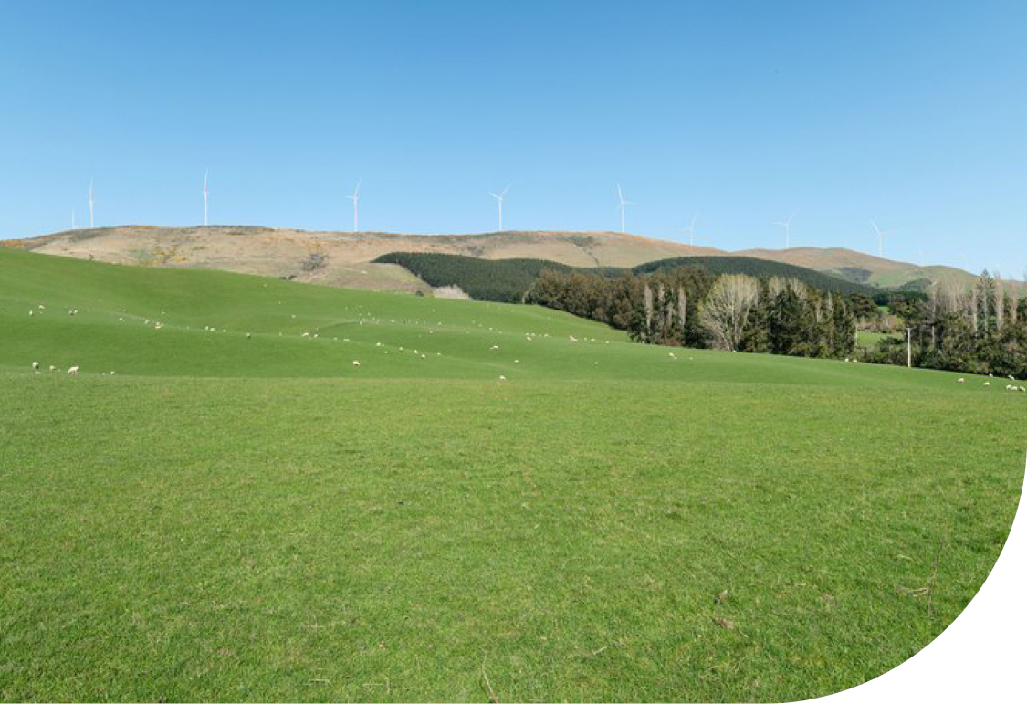 Kaihiku Wind Farm — Manawa Energy