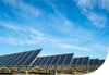 Developing a Solar Farm — Manawa Energy