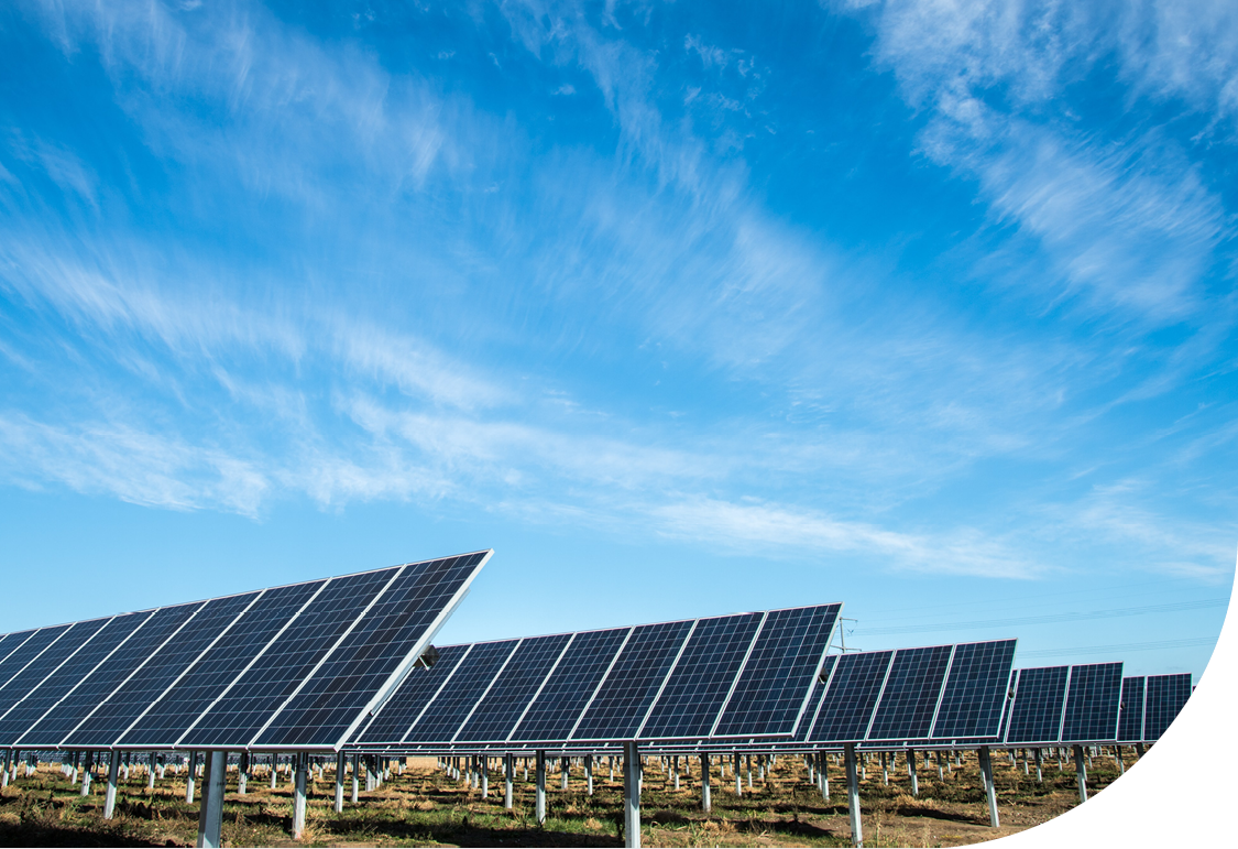 Developing a Solar Farm — Manawa Energy