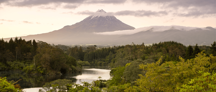 Key Investor Information — Manawa Energy