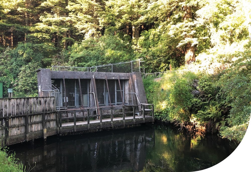 Our Renewable Generation — Manawa Energy