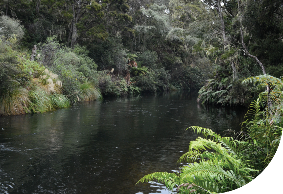 Our Renewable Generation — Manawa Energy