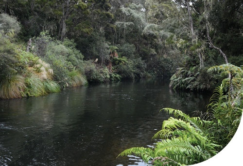 Our Renewable Generation — Manawa Energy