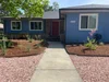 Sacramento Native Landscape Design — Mother Natives