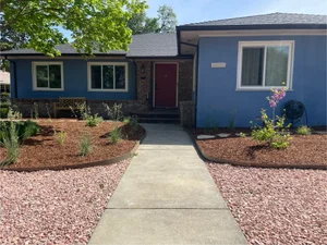 Sacramento Native Landscape Design — Mother Natives