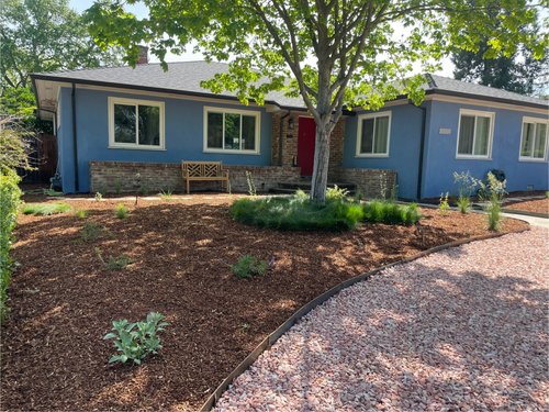 Sacramento Native Landscape Design — Mother Natives