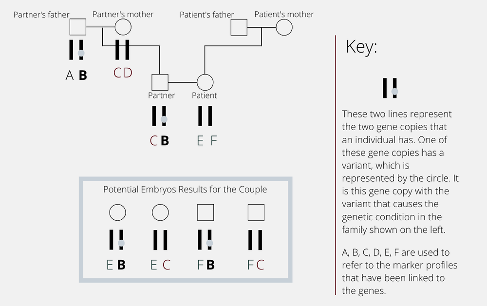 What should I expect with PGT-M? I Modern Reproduction