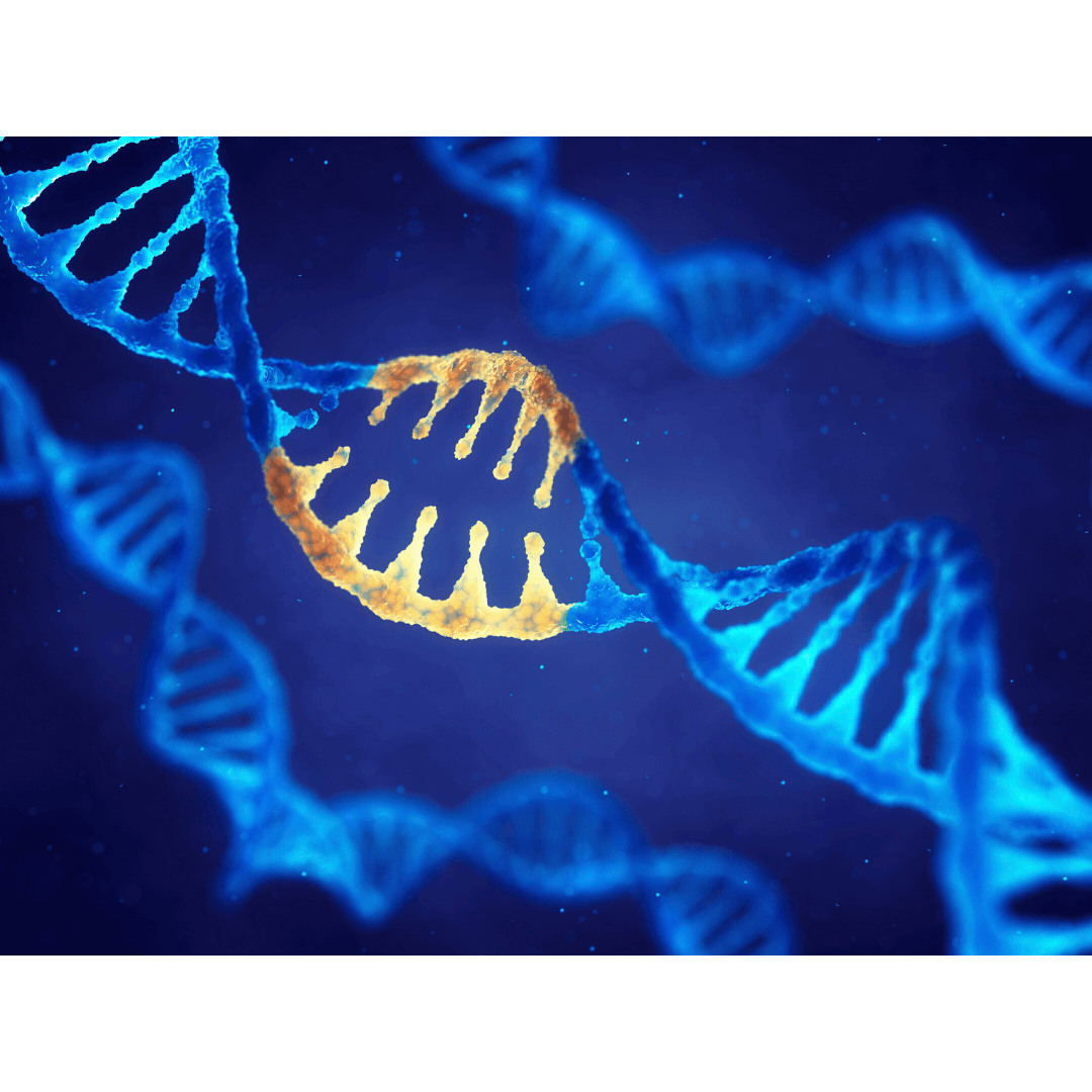 Navigating Genetic Testing While Pregnant I Modern Reproduction