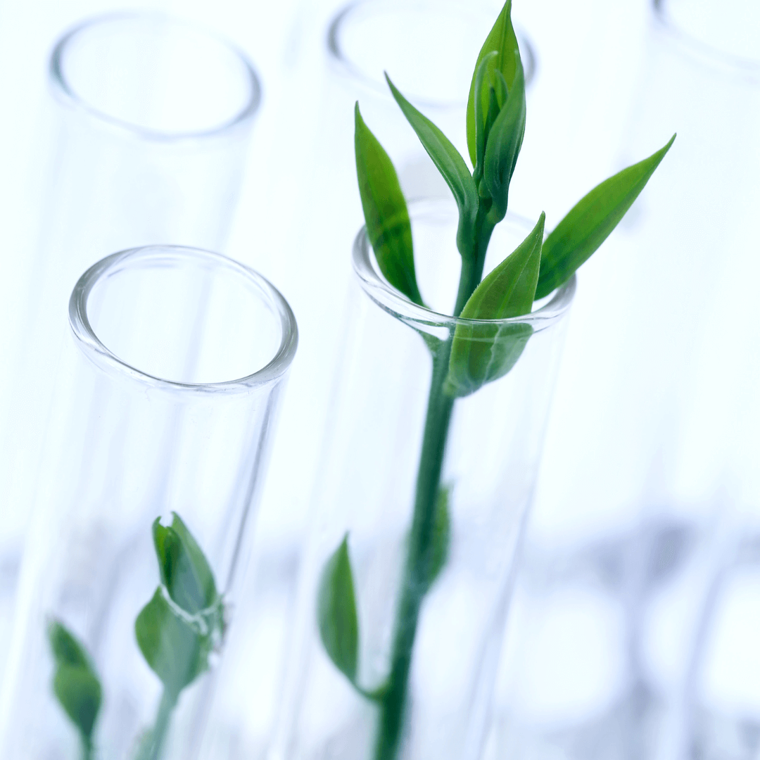 Navigating Genetic Testing While Pregnant I Modern Reproduction