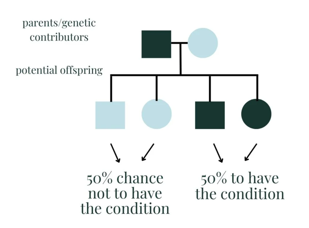 How do we inherit our genes I Modern Reproduction